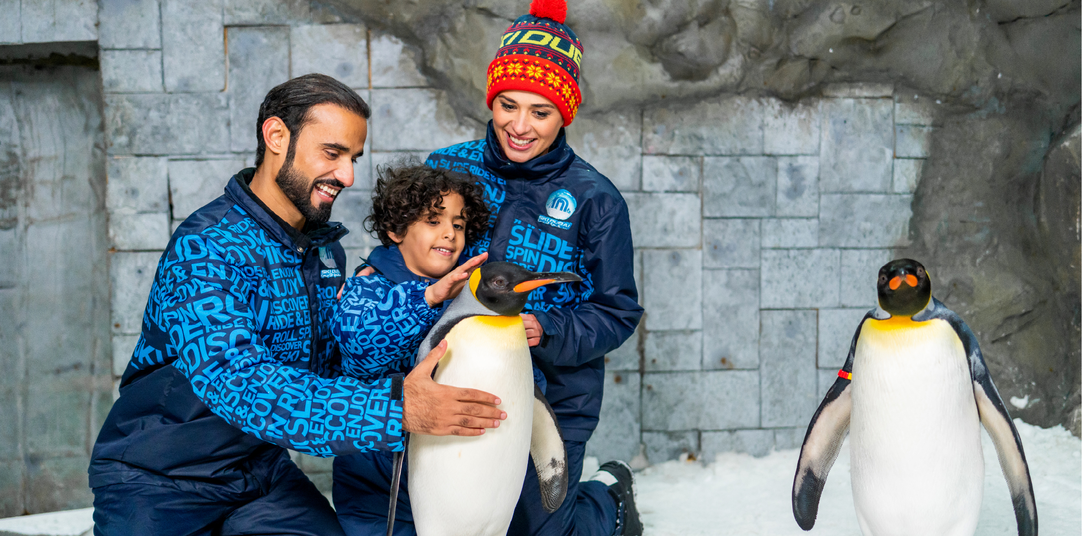 Learn to Understand and Interact with Penguins | Ski Dubai